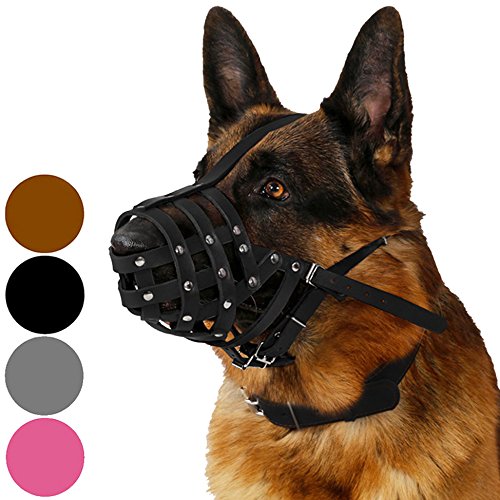 CollarDirect Dog Muzzle German Shepherd Dalmatian Doberman Setter Leather Basket Medium Large Breeds Black Brown (L, Black)