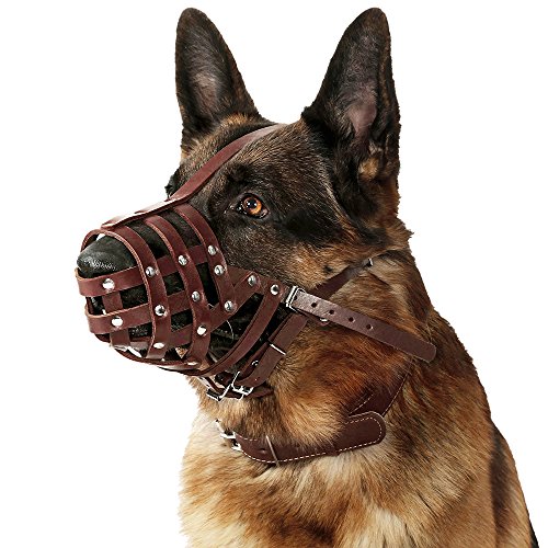 CollarDirect Dog Muzzle German Shepherd Dalmatian Doberman Setter Leather Basket Medium Large Breeds Black Brown (L, Black)