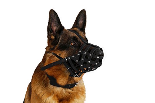 CollarDirect Dog Muzzle German Shepherd Dalmatian Doberman Setter Leather Basket Medium Large Breeds Black Brown (L, Black)