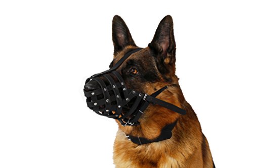 CollarDirect Dog Muzzle German Shepherd Dalmatian Doberman Setter Leather Basket Medium Large Breeds Black Brown (L, Black)