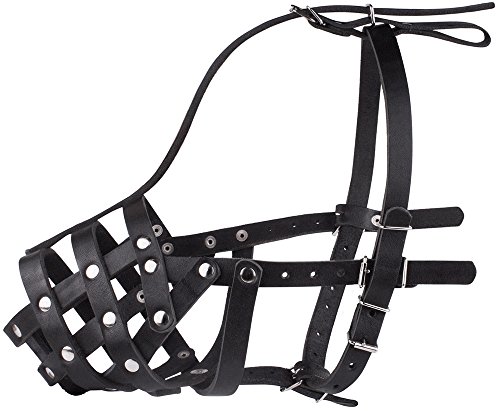 CollarDirect Dog Muzzle German Shepherd Dalmatian Doberman Setter Leather Basket Medium Large Breeds Black Brown (L, Black)