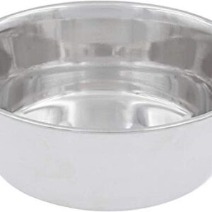 Fuzzy Puppy Food & Water Bowl for Cats & Dogs, Heavy-Duty Stainless Steel, Silver, 1 Quart