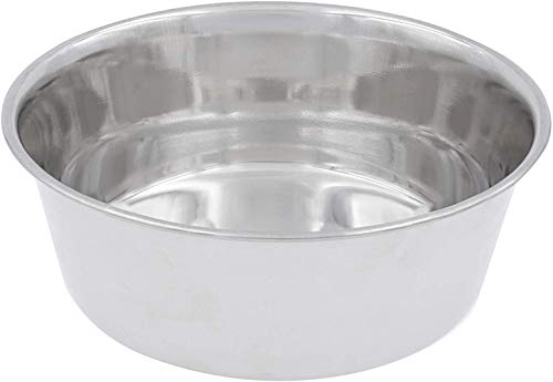 Fuzzy Puppy Food & Water Bowl for Cats & Dogs, Heavy-Duty Stainless Steel, Silver, 1 Quart