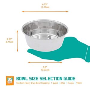 Fuzzy Puppy Food & Water Bowl for Cats & Dogs, Heavy-Duty Stainless Steel, Silver, 1 Quart