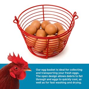 Prevue Pet Products 8 Inch Red Egg Basket 468