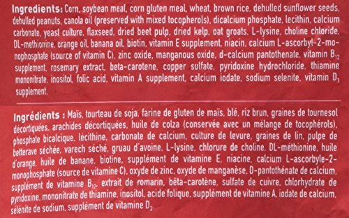 Hari Hagen Tropican High Performance Parrot Food, 3.3 ib Parrot Sticks with Peanuts & Sunflower Seeds and Higher Nutrition Levels