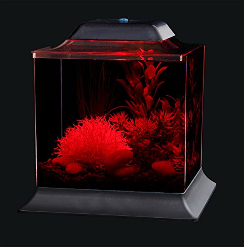 Koller Products 1.5-Gallon AquaScene Aquarium with LED Lighting