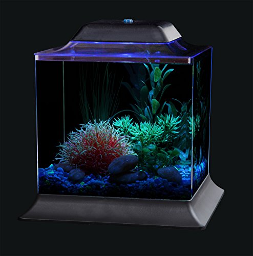 Koller Products 1.5-Gallon AquaScene Aquarium with LED Lighting