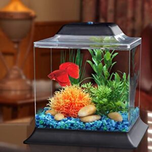 Koller Products 1.5-Gallon AquaScene Aquarium with LED Lighting