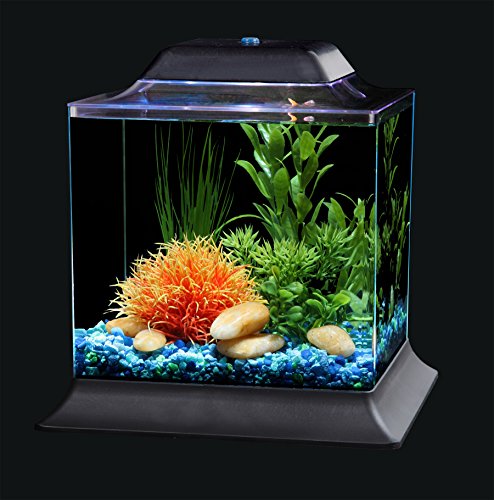 Koller Products 1.5-Gallon AquaScene Aquarium with LED Lighting