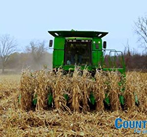 CountryMax Cracked Corn for Birds, Turkeys, Wildlife, Chickens (50 Pounds)