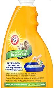 Arm & Hammer Litter Deodorizing Spray - 21.5 oz