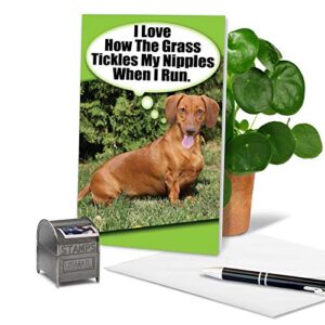 NobleWorks - 1 Adorable Birthday Card Funny - Pet Dog Animal Humor, Bday Notecard with Envelope - Tickle My N-pples C2069BDG