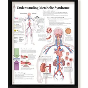 Understanding Metabolic Syndrome Framed Medical Educational Informational Poster Diagram Doctors Office School Classroom 22x28 Inches