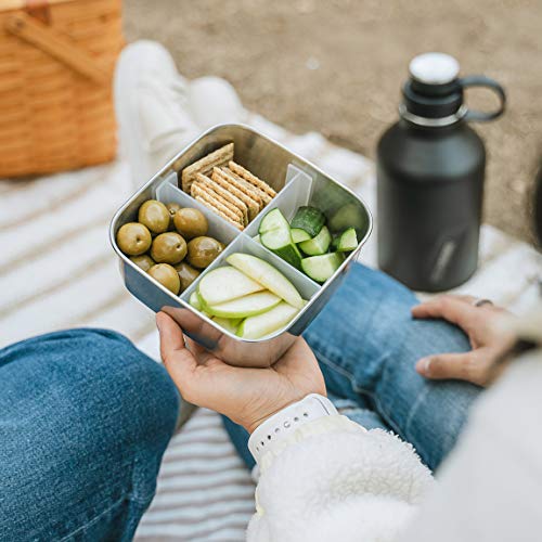 U-Konserve - Divided To-Go, Stainless Steel with Removable Dividers, Multiple Containers in One, Ideal for Lunches, Picnics and Travel, Dishwasher Safe (Medium, Ocean)