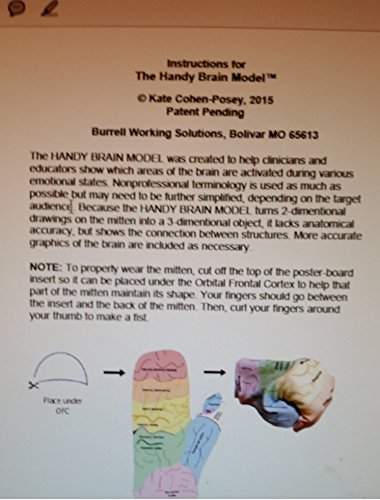 Handy Brain Model B-2 (large)