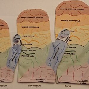 Handy Brain Model B-2 (large)