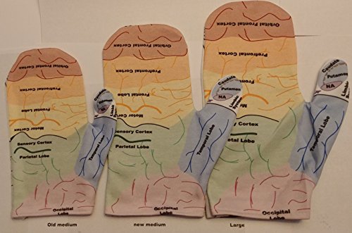 Handy Brain Model B-2 (large)