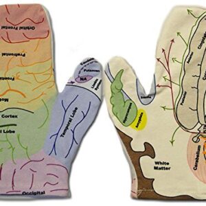 Handy Brain Model B-2 (large)