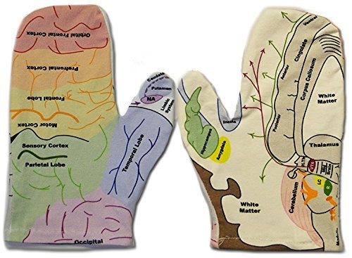 Handy Brain Model B-2 (large)