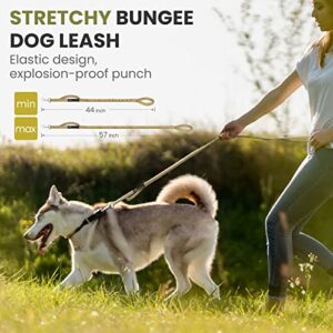 OutdoorMaster Bungee Dog Leash, Heavy Duty Dog Leash with Shock Absorption, 2 Padded Handles Training Leash, Improved Dog Safety and Comfort (Tan, 4 FT)