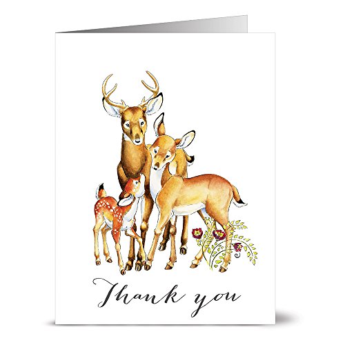 Note Card Cafe Thank You Cards with Kraft Envelopes | 24 Pack | Deer Thank You | Blank Inside, Glossy Finish | for Greeting Cards, Occasions, Birthdays, Gifts