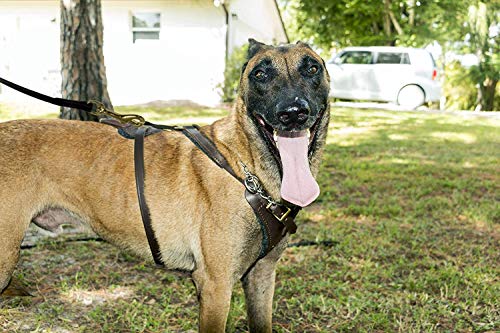 Viper Biothane Working Tracking Lead Leash Long Line for Dogs, Black