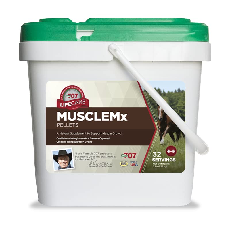 Formula 707 MuscleMx Equine Supplement, 3lb Bucket – Conditioning Support and Muscle Builder for Horses with Lysine, Gamma Oryzanol, Creatine & OKG