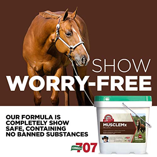 Formula 707 MuscleMx Equine Supplement, 3lb Bucket – Conditioning Support and Muscle Builder for Horses with Lysine, Gamma Oryzanol, Creatine & OKG