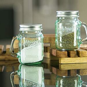 Mason Jar Salt and Pepper Shaker - Clear Glass Green