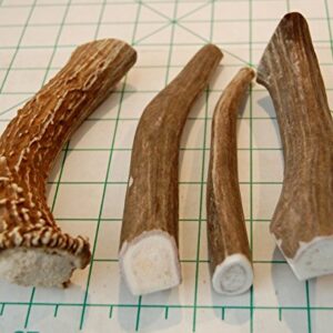 Premium Deer Antler Pieces - Dog Chews - Antlers by The Pound, One Pound - Six Inches or Longer - Medium, Large and XL - Happy Dog Guarantee!