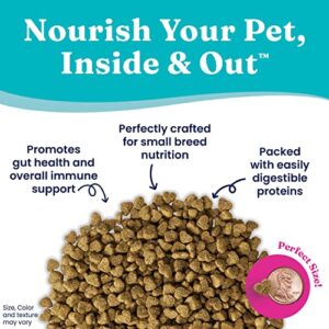 Solid Gold Mighty Mini Small Breed Dog Food - Dry Dog Food for Any Toy Breed - for Gut Health & Sensitive Stomach Support - Digestive Probiotics for Dogs - Grain & Gluten Free Recipe