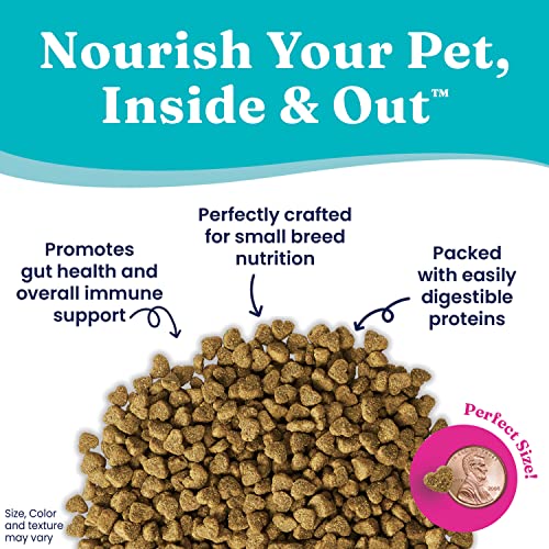 Solid Gold Mighty Mini Small Breed Dog Food - Dry Dog Food for Any Toy Breed - for Gut Health & Sensitive Stomach Support - Digestive Probiotics for Dogs - Grain & Gluten Free Recipe