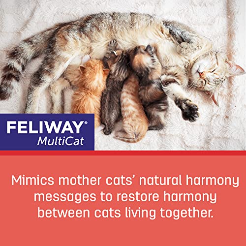 FELIWAY MultiCat Calming Pheromone Diffuser for house-cats, 30 Day Starter Kit (48 mL)