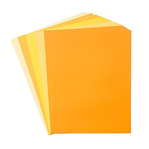 Recollections Citrus Cardstock Paper, 8.5" X 11" - 50 Sheets, 5 Colors