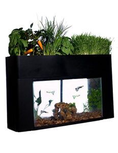 aquasprouts garden, self-sustaining desktop aquarium aquaponics ecosystem kit, fits standard 10 gallon aquariums