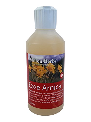 Hilton Herbs Ezee Arnica Gel for Knocks & Bruises, 250ml Bottle