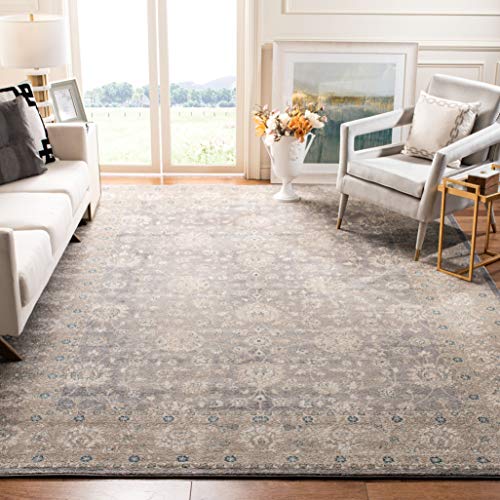 SAFAVIEH Sofia Collection Area Rug - 8' x 10', Light Grey & Beige, Vintage Oriental Distressed Design, Non-Shedding & Easy Care, Ideal for High Traffic Areas in Living Room, Bedroom (SOF330B)