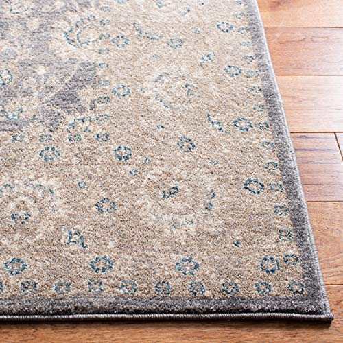 SAFAVIEH Sofia Collection Area Rug - 8' x 10', Light Grey & Beige, Vintage Oriental Distressed Design, Non-Shedding & Easy Care, Ideal for High Traffic Areas in Living Room, Bedroom (SOF330B)