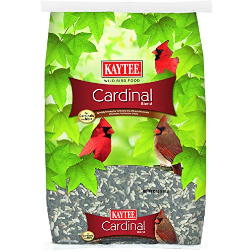 Kaytee Products 100525367 15 lb Cardinal Food