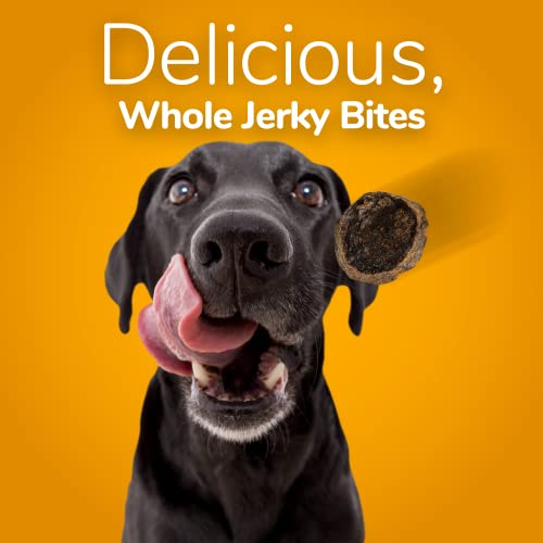 Fruitables Dog Treats – Whole Jerky Bites – Grilled Bison Dog Treats – Healthy Dog Treats – 5 Ounces