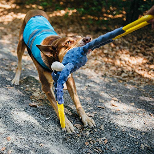 ZippyPaws - RopeTugz Blue Monkey Dog Toy - Durable Rope, Squeaky Chew Toy, Perfect for Tug of War, Suitable for Small, Medium, and Large Breeds - Machine Washable