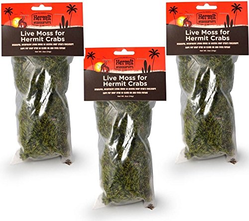 Fluker's Live Moss for Hermit Crabs, 0.5-Ounce Each (3 Pack)