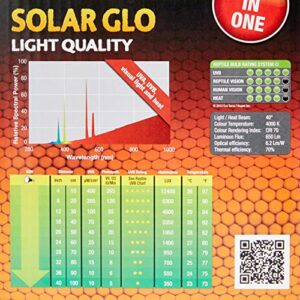 Exo Terra Solar-Glo Mercury Vapor Bulb, 80 Watts