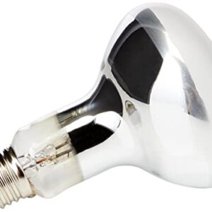 Exo Terra Solar-Glo Mercury Vapor Bulb, 80 Watts