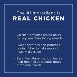 Natural Balance Limited Ingredient Diet Chicken & Sweet Potato | Adult Wet Grain-Free Canned Dog Food in Broth | 2.75 Ounce (Pack of 24)