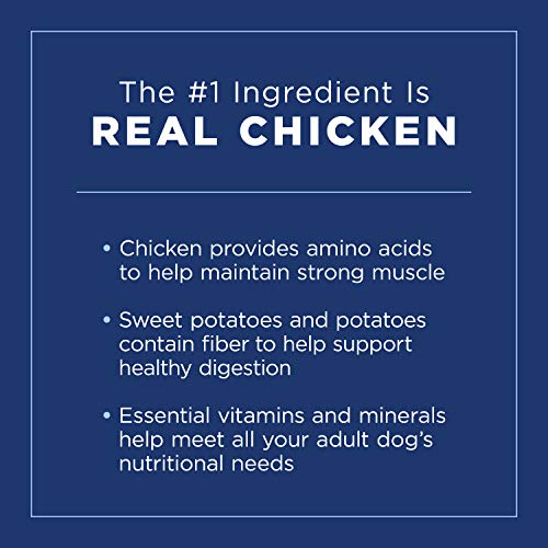 Natural Balance Limited Ingredient Diet Chicken & Sweet Potato | Adult Wet Grain-Free Canned Dog Food in Broth | 2.75 Ounce (Pack of 24)