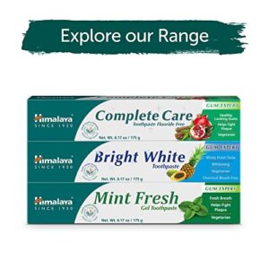 Himalaya Complete Care Toothpaste, Fluoride Free to Reduce Plaque and Brighten Teeth, 6.17 Oz