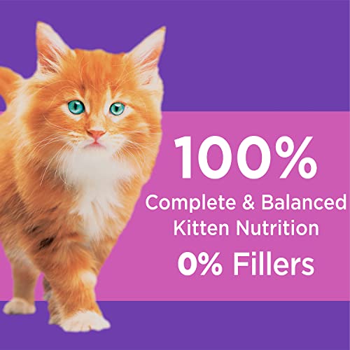 IAMS PROACTIVE HEALTH Healthy Kitten Dry Cat Food with Chicken Cat Kibble, 16 lb. Bag