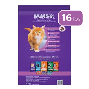 IAMS PROACTIVE HEALTH Healthy Kitten Dry Cat Food with Chicken Cat Kibble, 16 lb. Bag